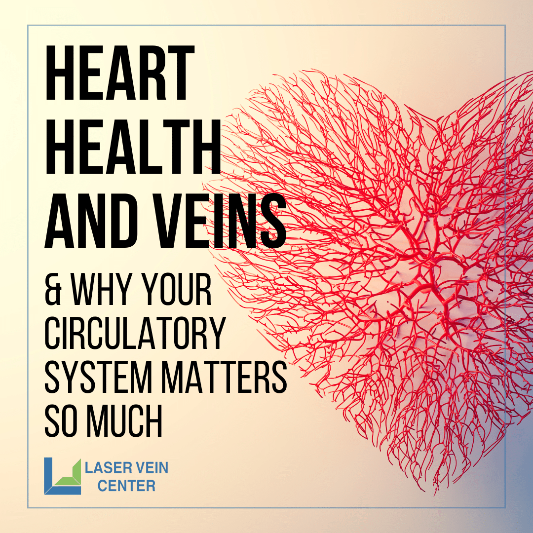 Heart Health and Veins: Why Your Circulatory System Matters - St Louis ...